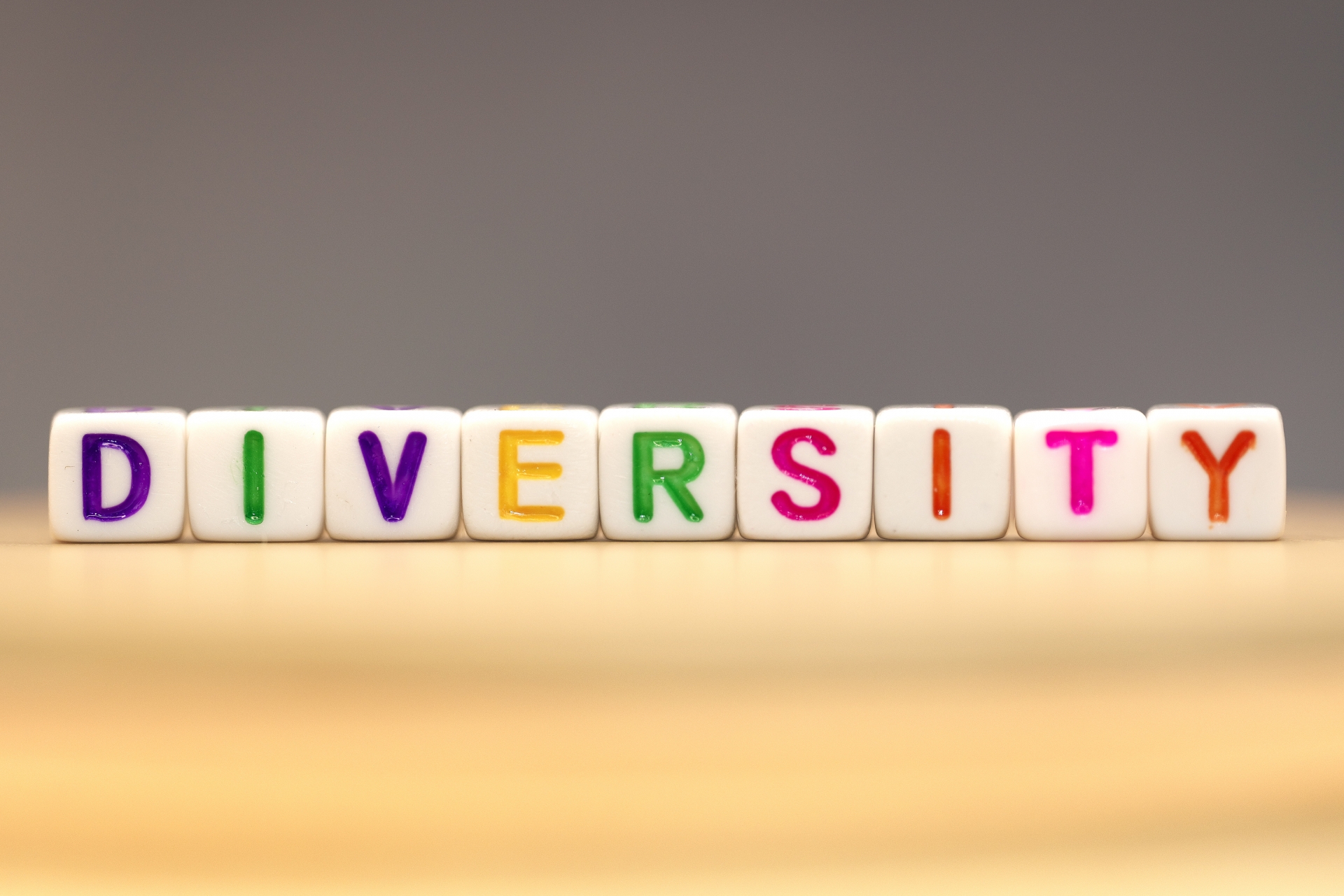 持続可能な経営のためのオープン・ダイアログ Kick Off! - Creative Guild report, ギルド通信